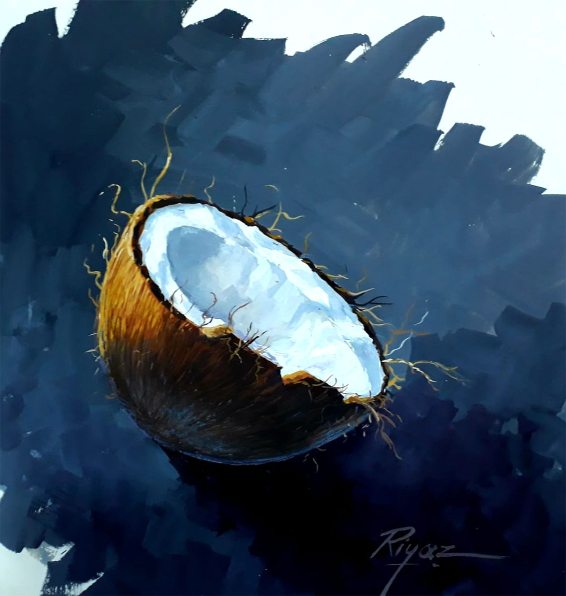 Coconut – Still Life - Knot Bot
